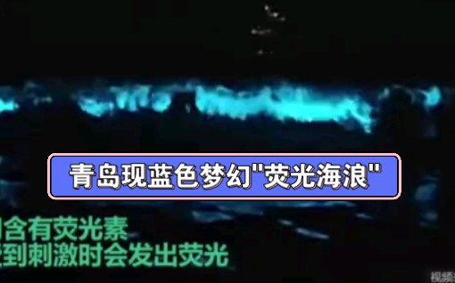 青岛现蓝色梦幻"荧光海":海浪自带蓝光灿若星河