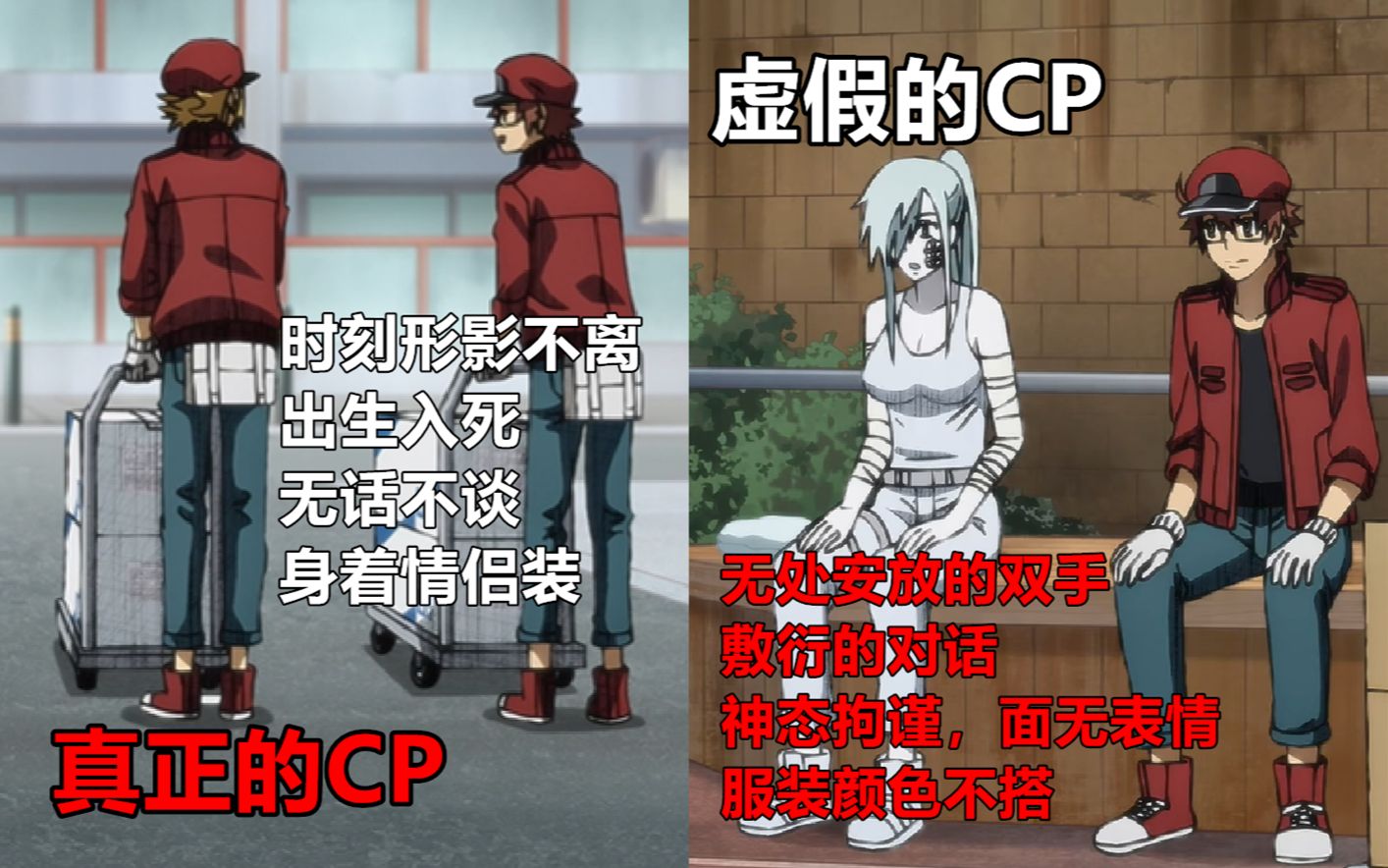 【工作细胞black】白姐:所以爱会消失对吗?