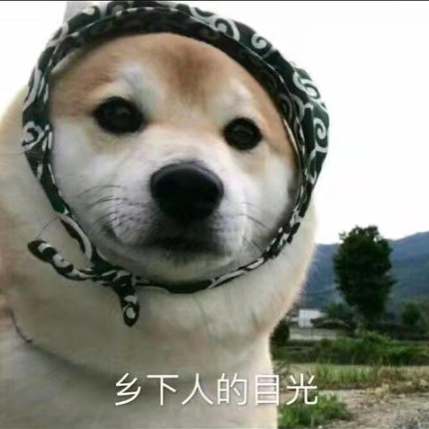 Amazing李杨 