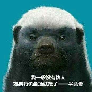 老夫平头哥 