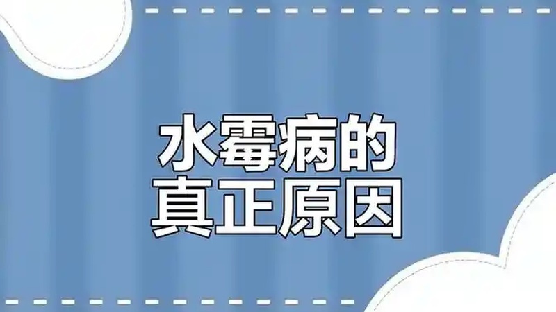 观赏鱼水霉病真相大揭秘:真菌与细菌的区别