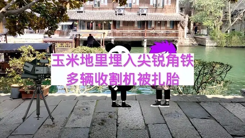 玉米地里埋入尖锐角铁,多辆收割机被扎胎,到底谁干的