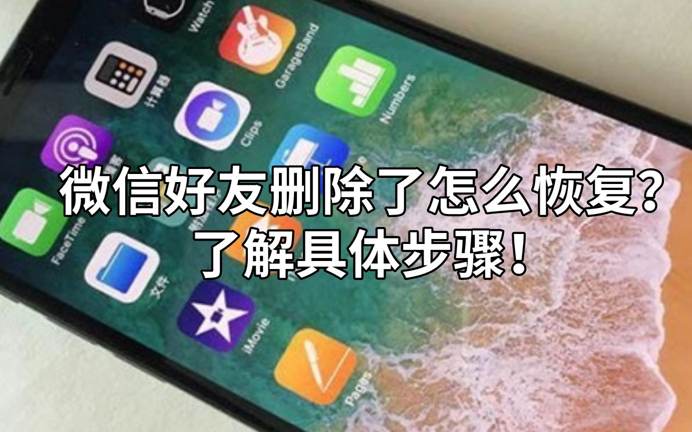 微信好友删除了怎么恢复?了解具体步骤!