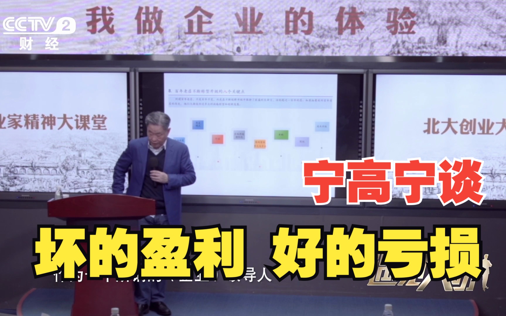 史小诺专访|宁高宁谈,坏的盈利,好的亏损