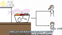 表观遗传学,奇怪的遗传现象-国语流畅