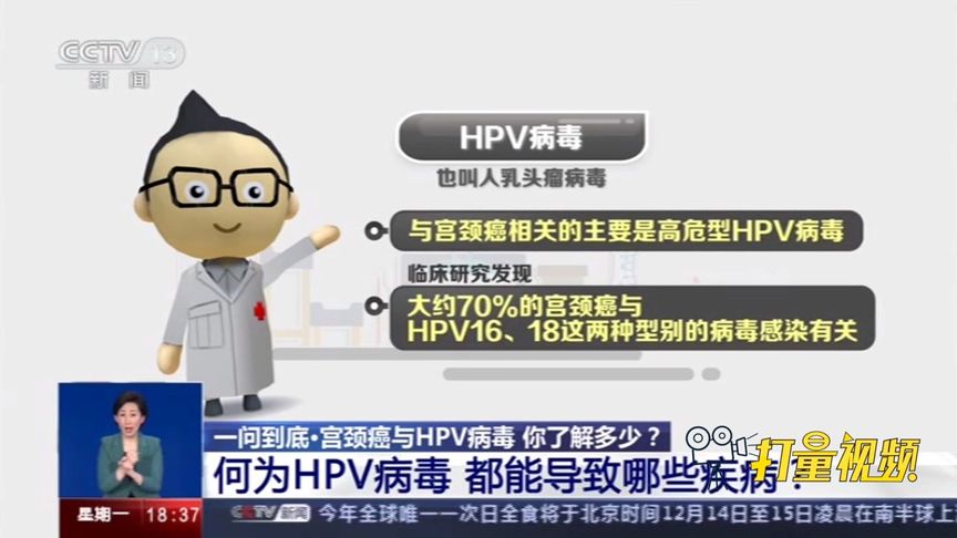 HPV病毒是什么,能导致哪些疾病?|共同关注