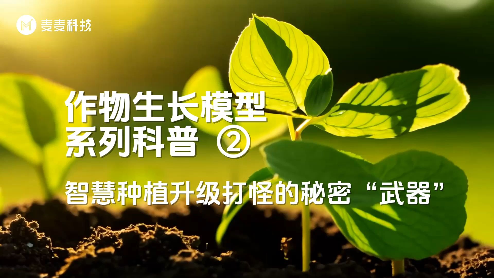 作物生长模型系列科普② 智慧种植升级打怪的秘密“武器”