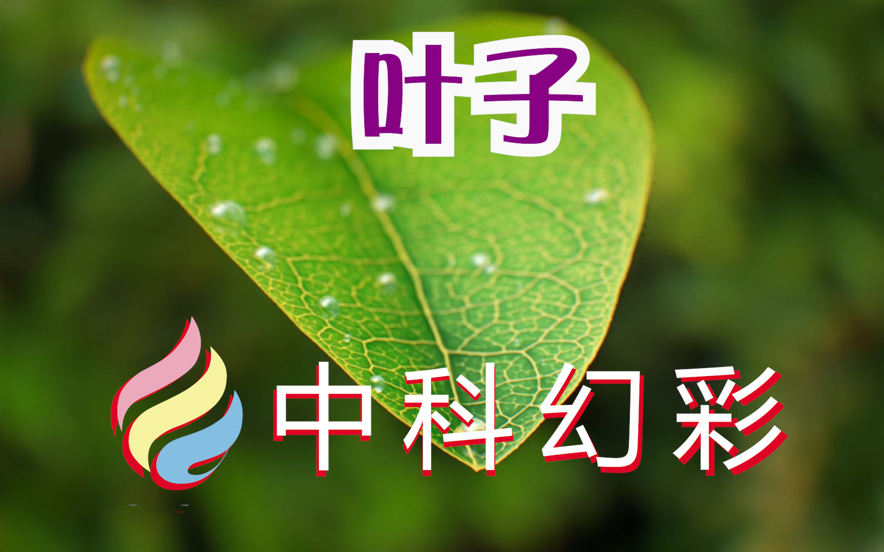 叶子科学科研原理三维动画-中科幻彩出品