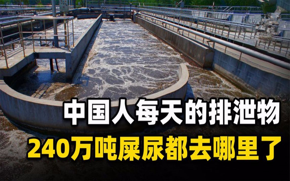 中国人每天产生约240万吨屎尿,都排放到哪里去了,该如何处理