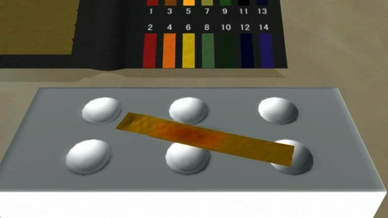 实验22 二氧化硫的性质