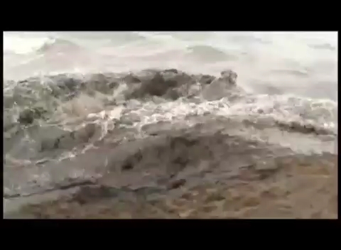 2011年日本大地震海啸到达美国西海岸