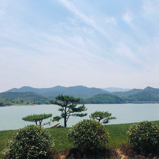 诗阳在奋斗 