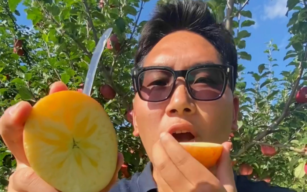 我家最丑的一个苹果,切开却很惊艳,满满的冰糖心【来自海拔2700米的...