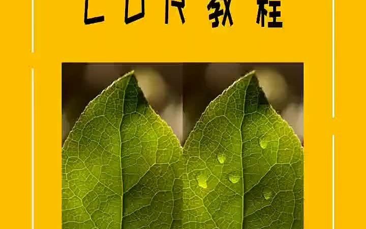 【CorelDRAW新手培训】CDR怎么绘制真实水滴效果 coreldraw交互式...