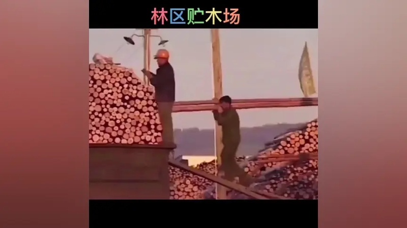 转发分享林业冬季木材外运画面