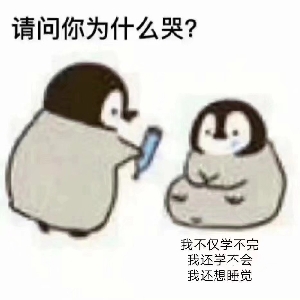 不学习会空虚吼 