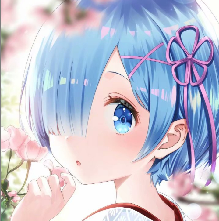 布吉卷 