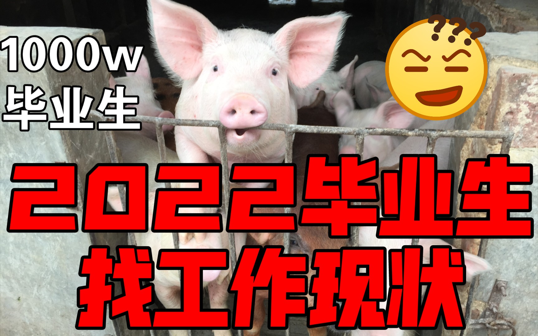 【2022应届毕业生】当代大学生找工作现状