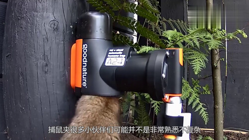 捕鼠夹威力有多大?土豪达人用手机测试,结果让人意想不到!