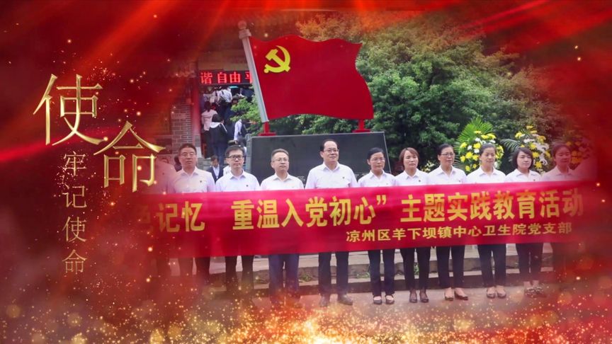 武威市凉州区羊下坝镇中心卫生院党支部主题实践教育活动