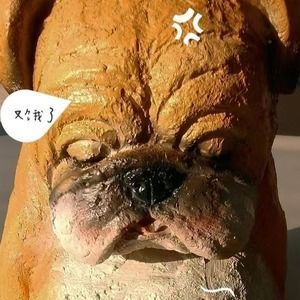 叫醒狗子