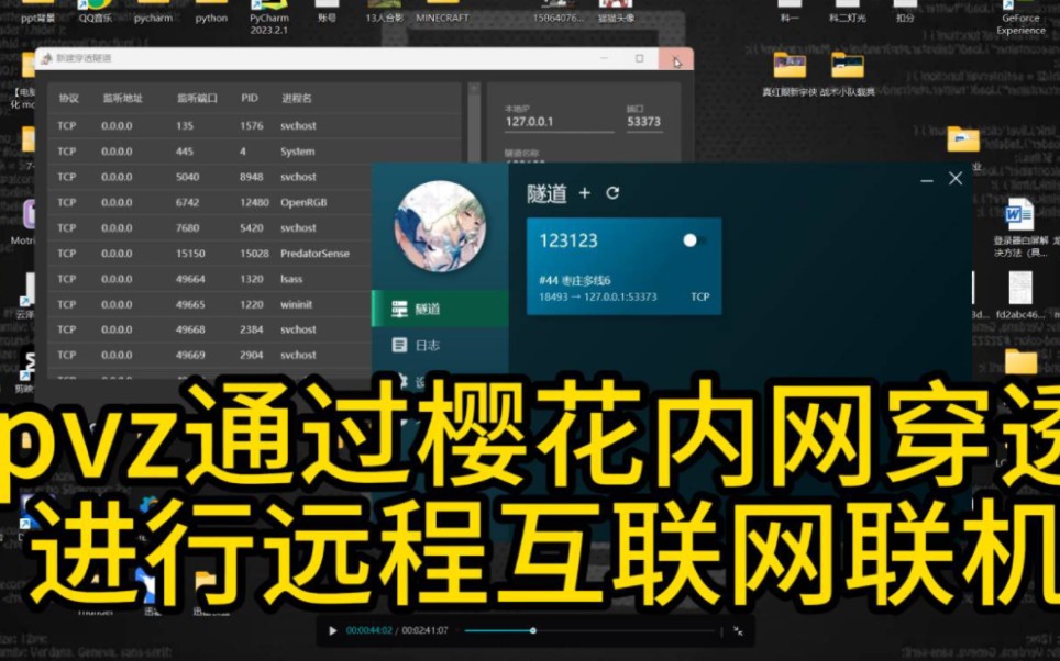 【植物大战僵尸联机版】通过樱花内网穿透进行远程互联网联机