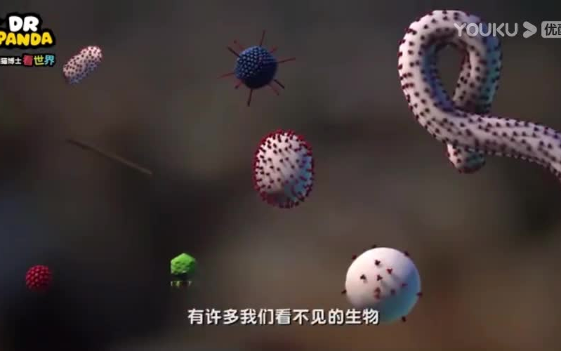 【科普】微生物王国 科普动画