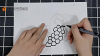 水果的简笔画 大家经常吃的几种水果 怎样画出来