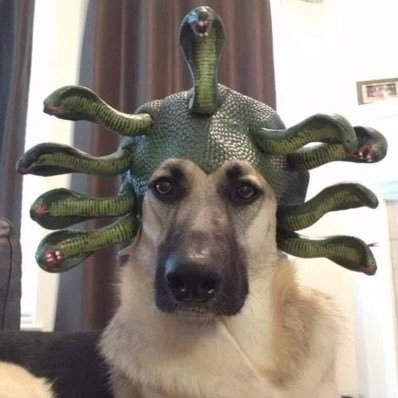 忽然笑yoo 