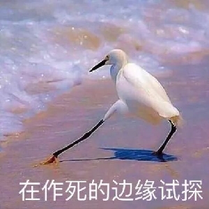 土豆加藕片不要糖 