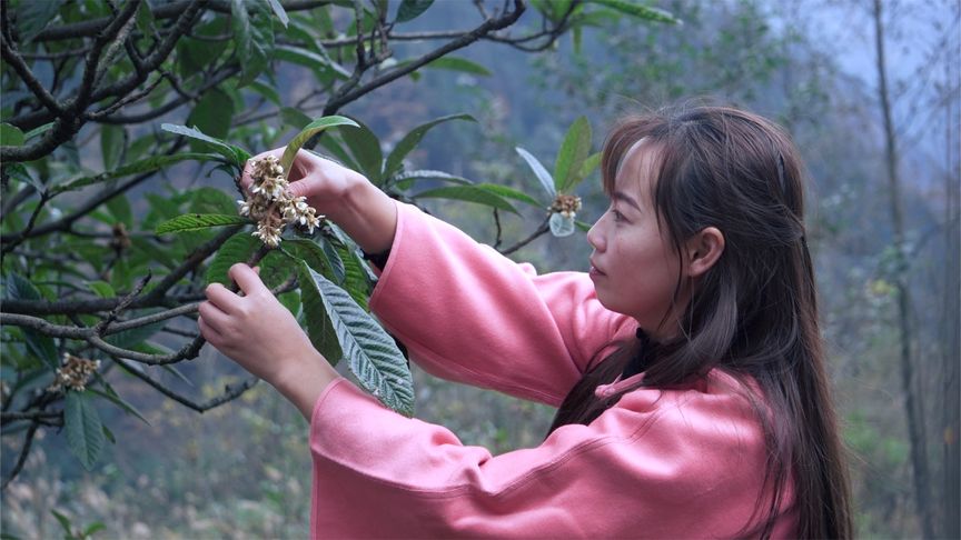 多余枇杷花摘掉不要扔,加点川贝做成枇杷膏,止咳润肺