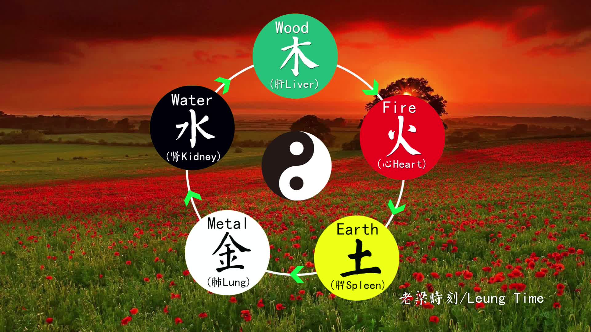 中医音乐 处方音乐 养生音乐 五音音乐 五行音乐 补益心阳养心安神 ...