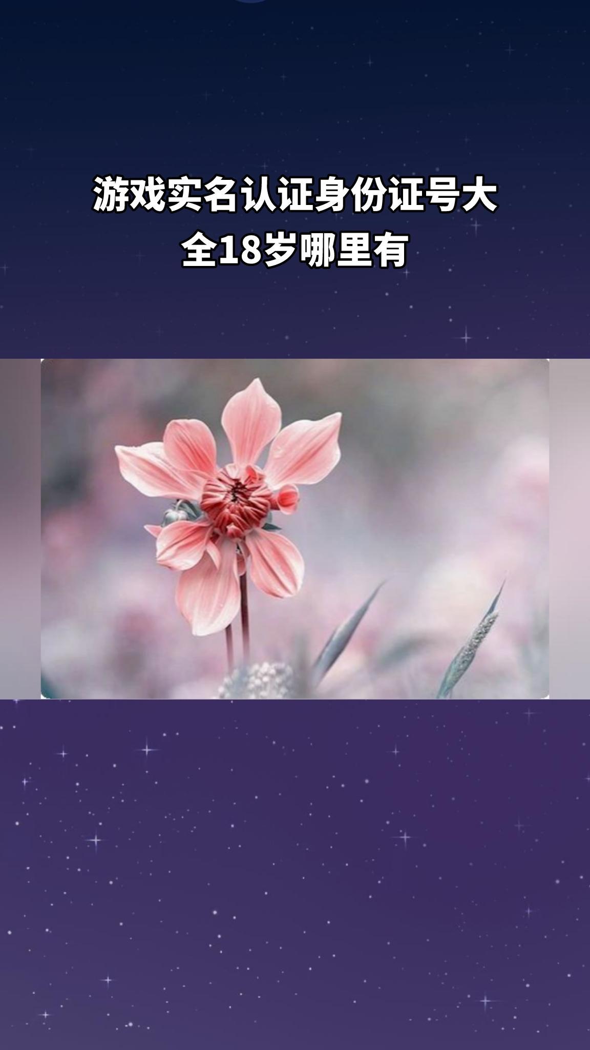 游戏实名认证身份证号大全18岁哪里有]