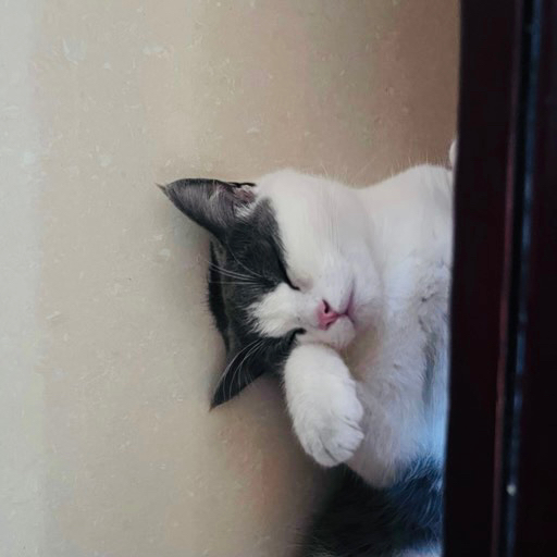 种子什么时候发芽 