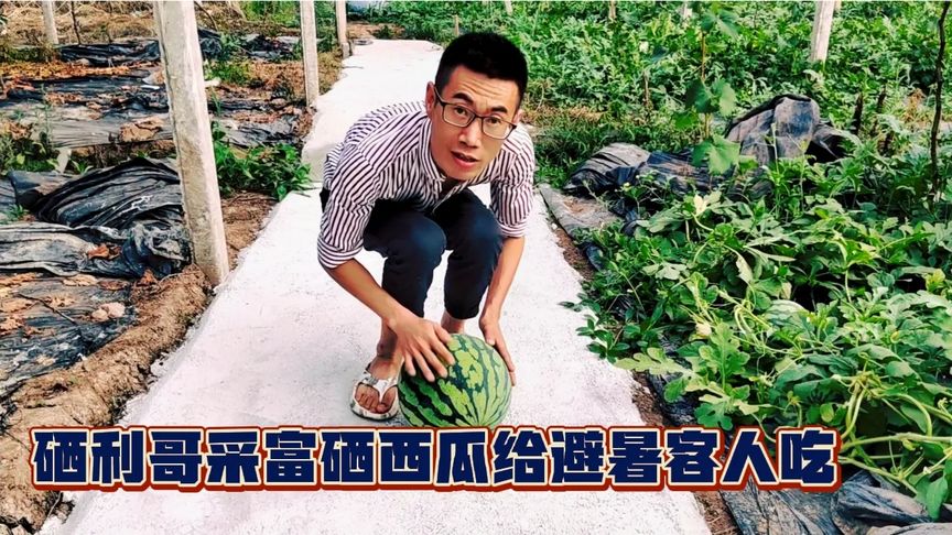 硒利哥家乡是民宿避暑胜地,摘两个西瓜免费吃,顺便介绍一下环境