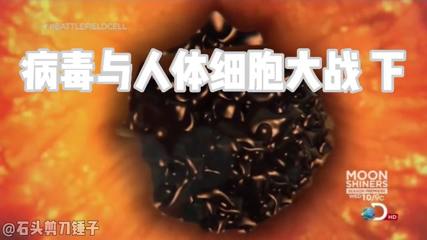 病毒与人体细胞大战(下)