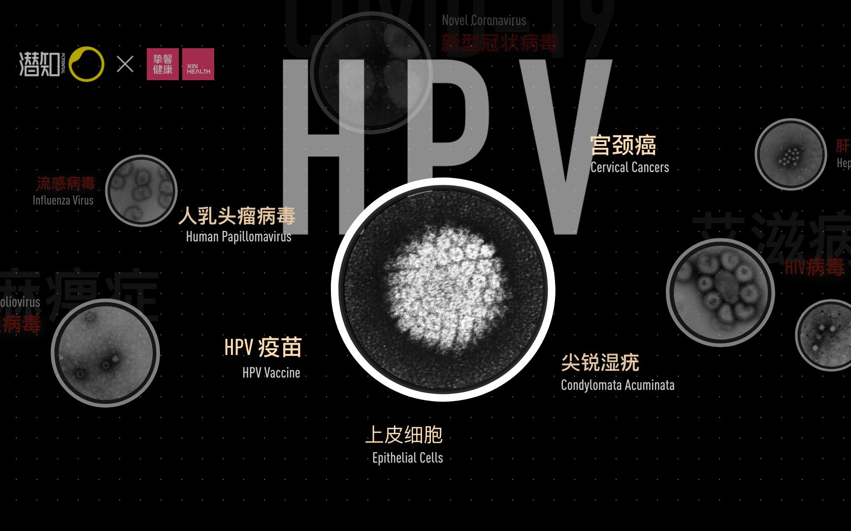 打宫颈癌疫苗前,你需要花三分钟,了解一下HPV病毒的基本常识