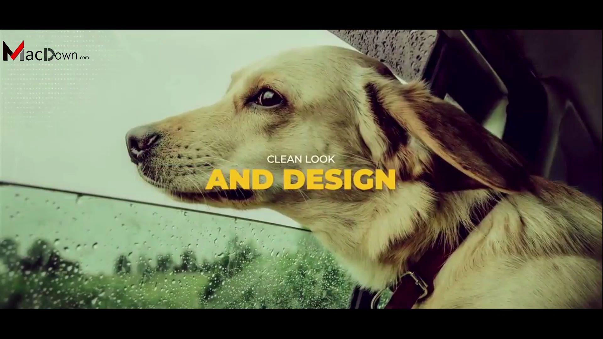 现代设计风格故障幻灯片文本动画AE模板