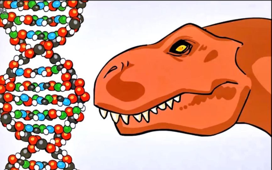 【生物学】什么是DNA?以及他是如何运作的