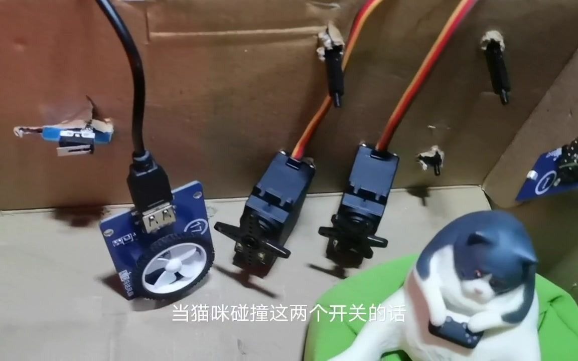 猫咪生活管理系统