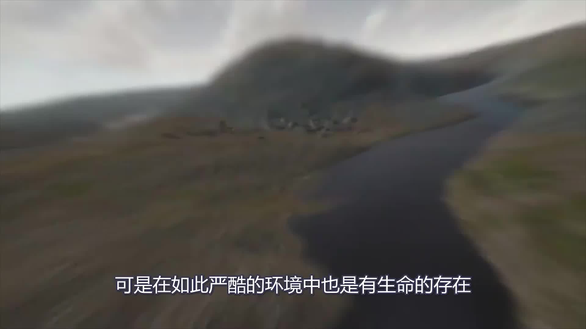 远古生物进化历程很艰难!