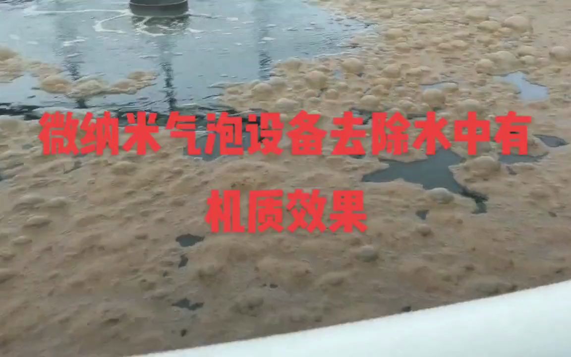 溶气泵 微纳米气泡 气浮效果 室内桶 去除有机物 氨氮