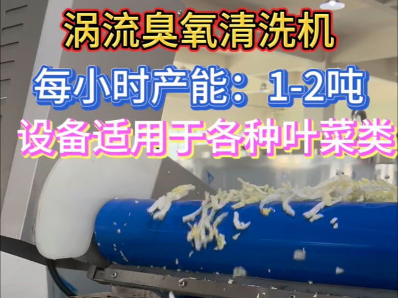 全自动涡流清洗机臭氧清洗机,该设备适用于各种的叶菜类产品#食品...