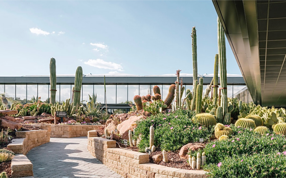 仙人掌的伊甸园,西班牙沙漠之城(desert city)/GARCIAGERMAN ...