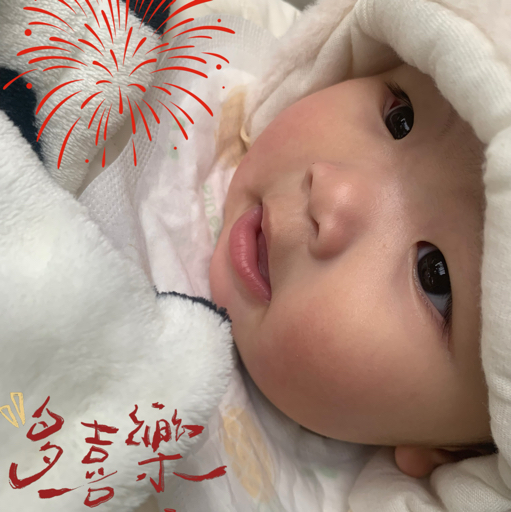 小饼干是我们的宝 