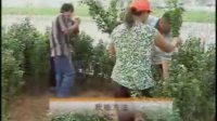 9月9日远程教育农技推广——绿篱的栽植管理技术