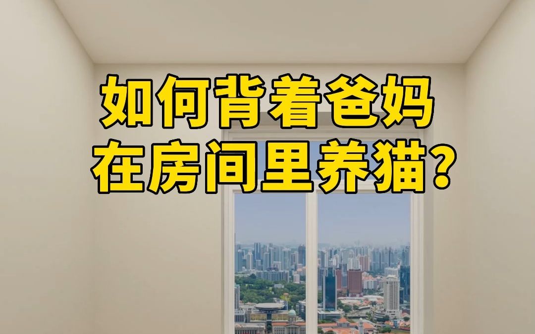 如何背着爸妈在房间里养猫?