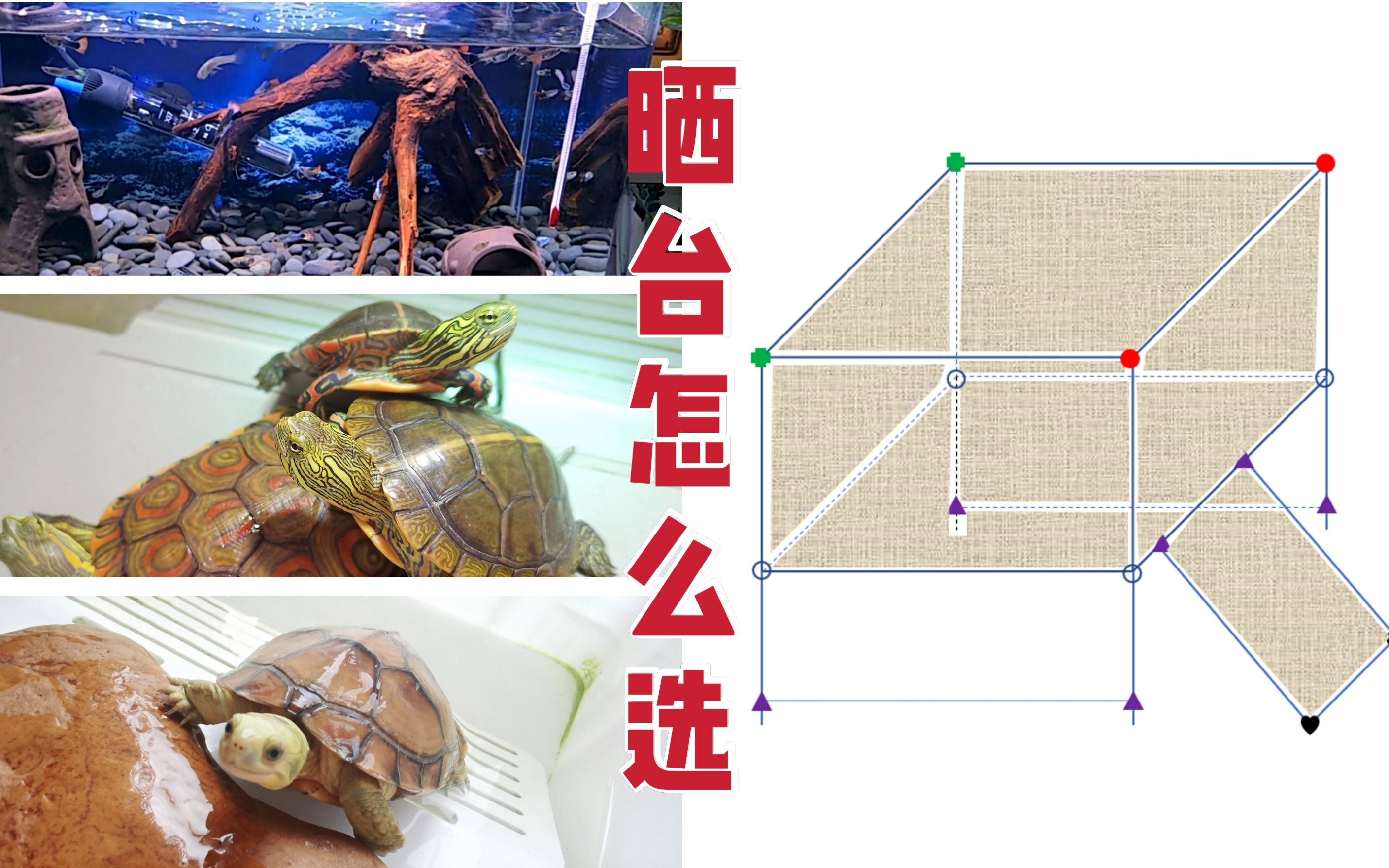 【乌龟晒台】养龟晒台要怎么选?6款晒台优缺点分析,看看有没有你爱...