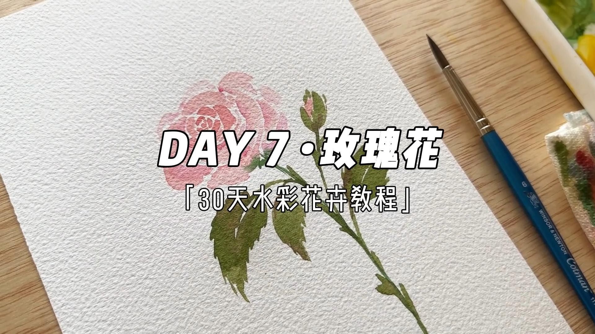 【水彩】30天水彩花卉教程,Day.7-玫瑰花 | 新手适用,零基础画水彩
