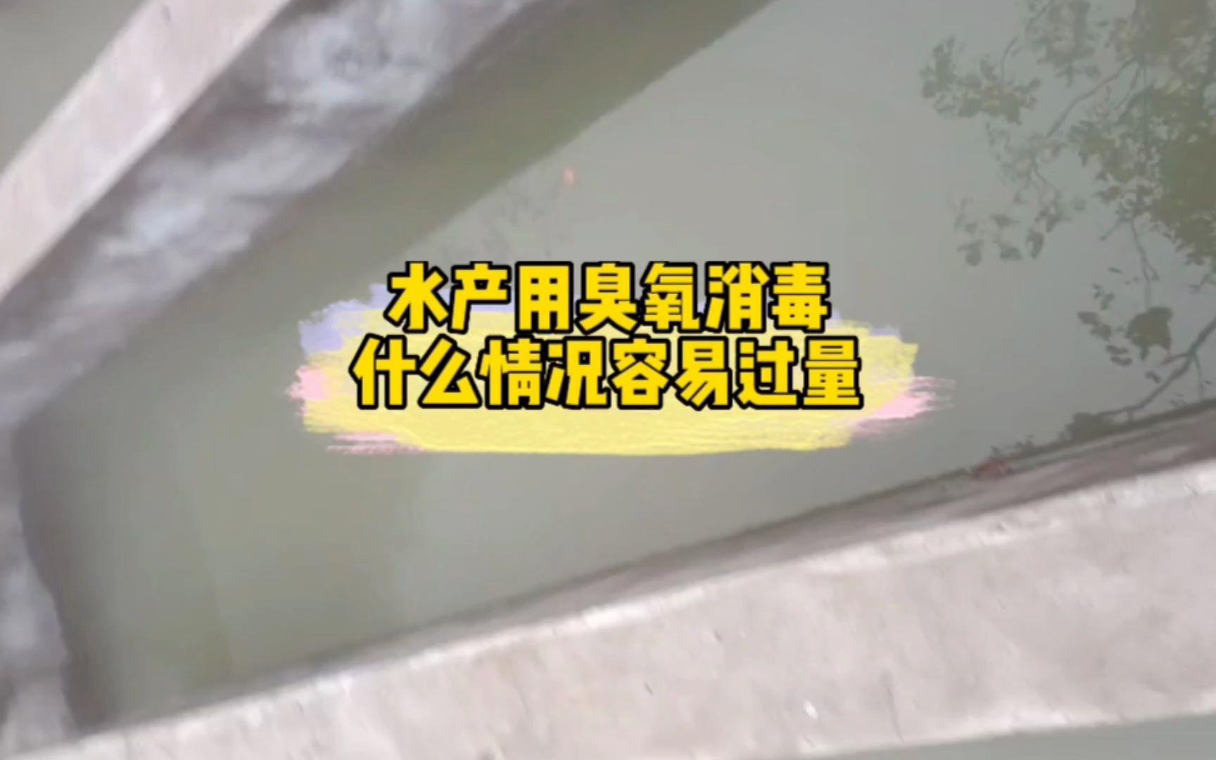 水产养殖臭氧机消毒,什么情况下容易过量?如何保证臭氧消毒安全